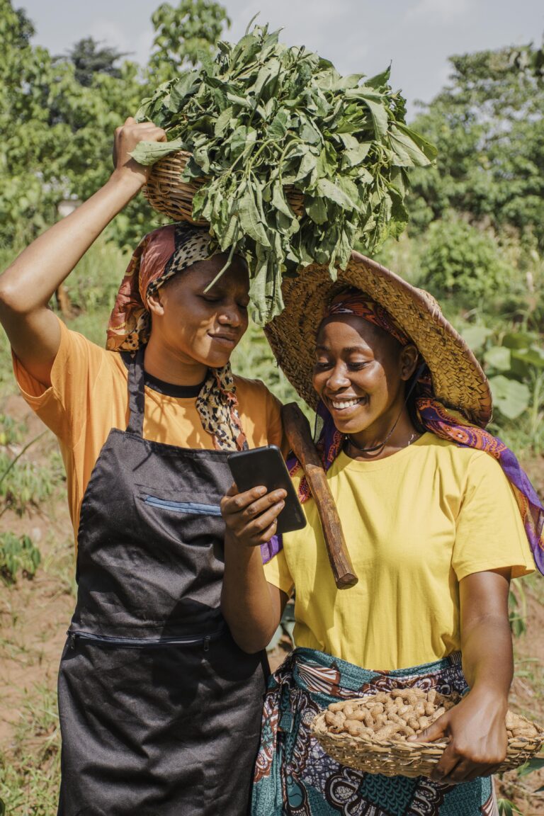 Our History – Incofin